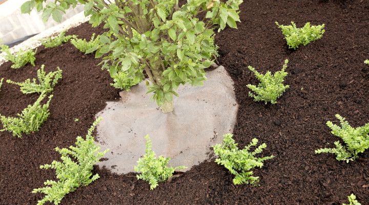 Install Plantex® Gold | DuPont UK